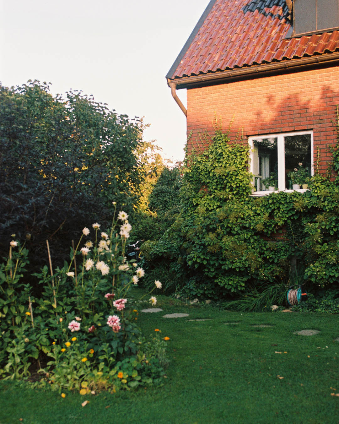 House Insurance in Sweden | Hedvig