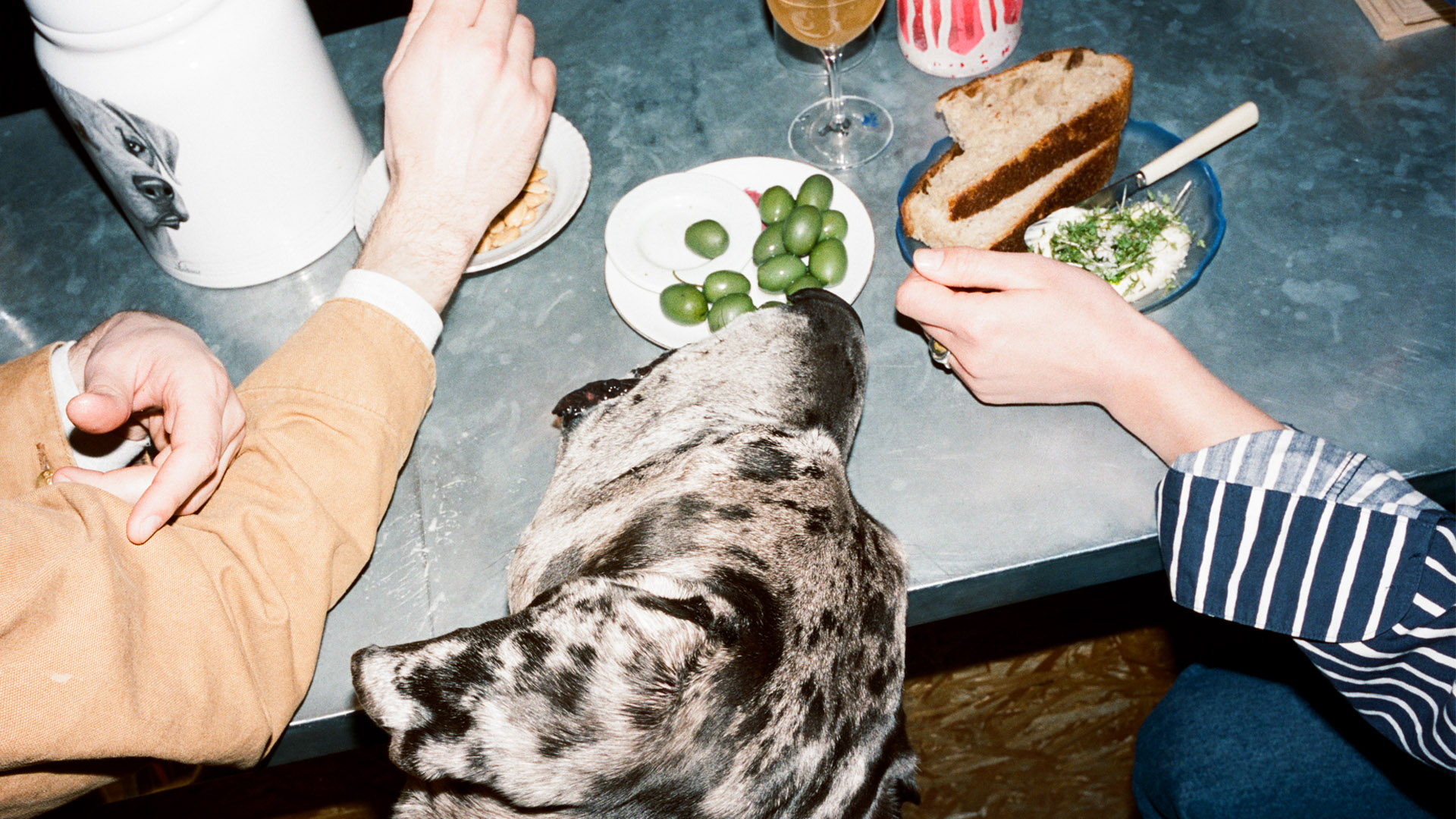 Dining with dogs – 10 hundälskande restauranger