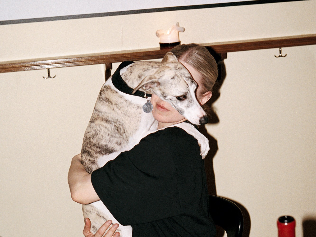 Dog insurance in Sweden | Hedvig